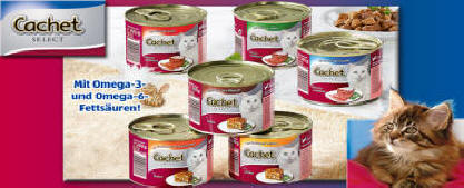 Coonattack Maine Coon Cats